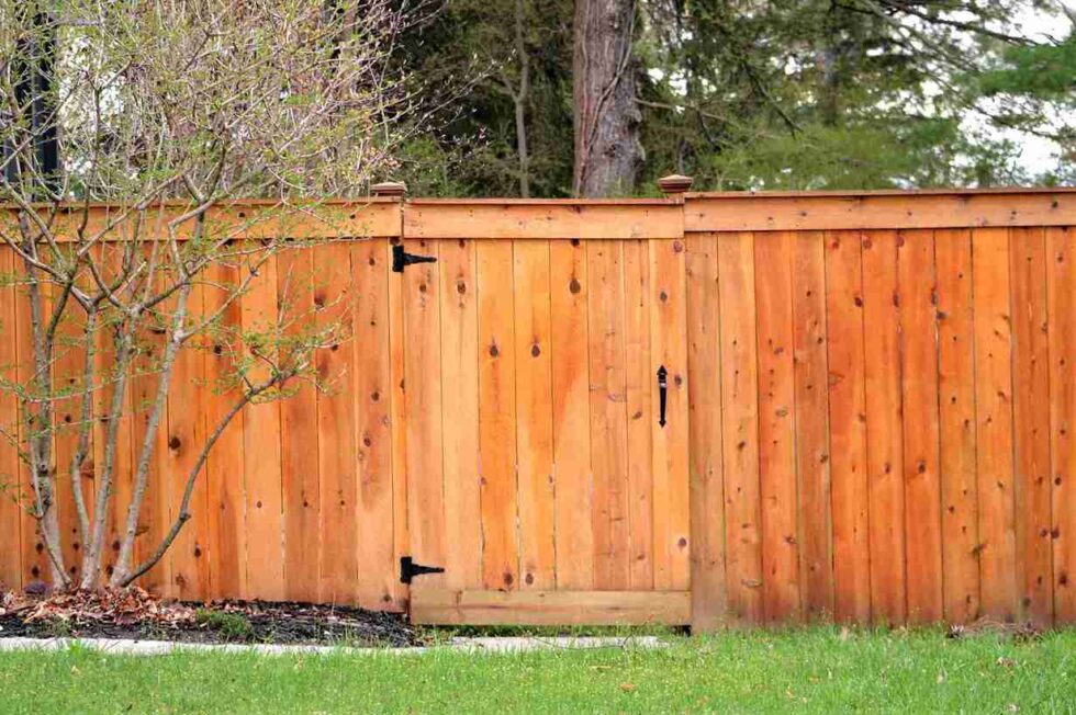 Spring Creek’s Best Wood Fence Companies Near Me for 2025